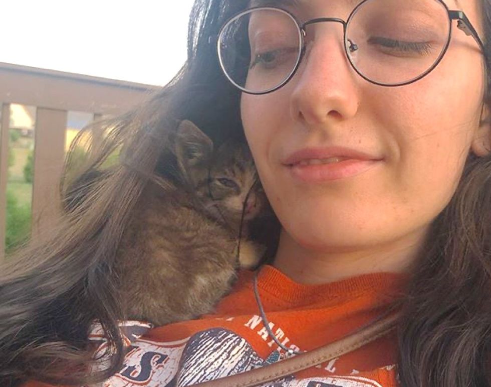 Kitten Found in Field Runs to a Couple and Insists on Going Home with ...