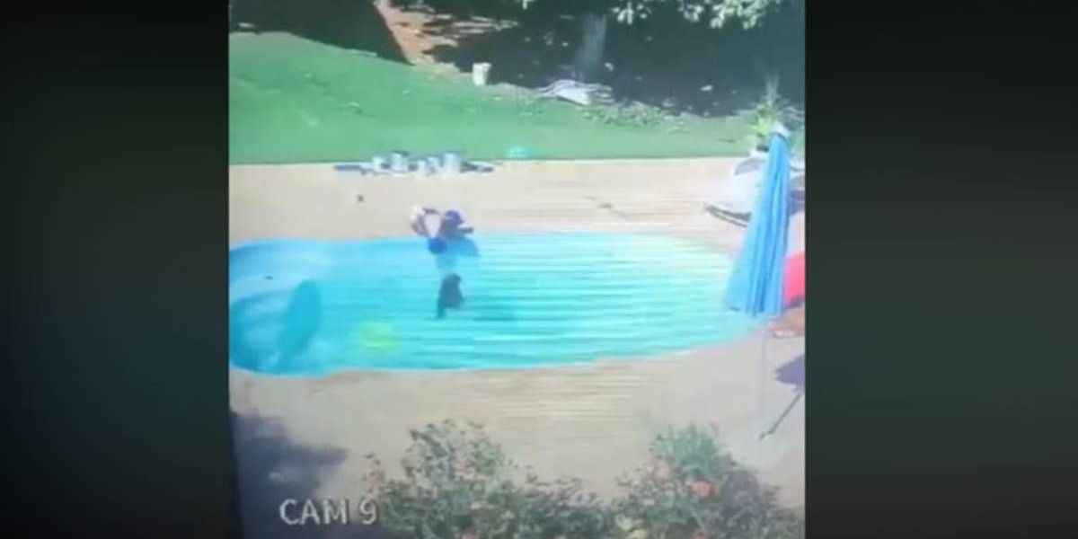 Security footage shows 3-year-old boy saving drowning friend - Upworthy