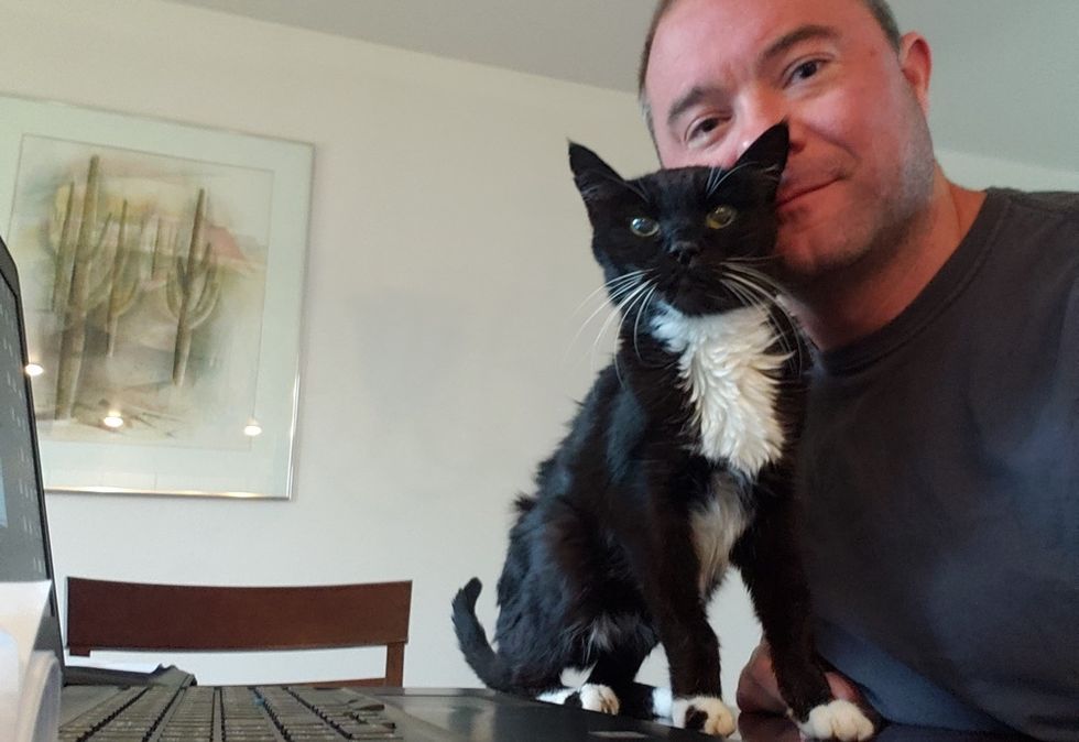 Cat Who Was 18 Years Old When He Asked Man to Take Him Home, Now Turns ...