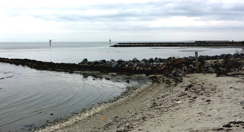 The south's best beaches for seashells - It's a Southern Thing