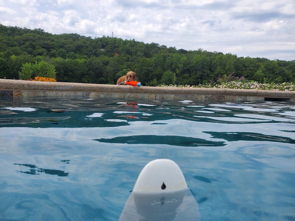 pHin Smart Water Monitor for pools and hot tubs review - Gearbrain