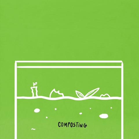 So You Want To Join The Zero-Waste Movement: Here’s What You Should Know