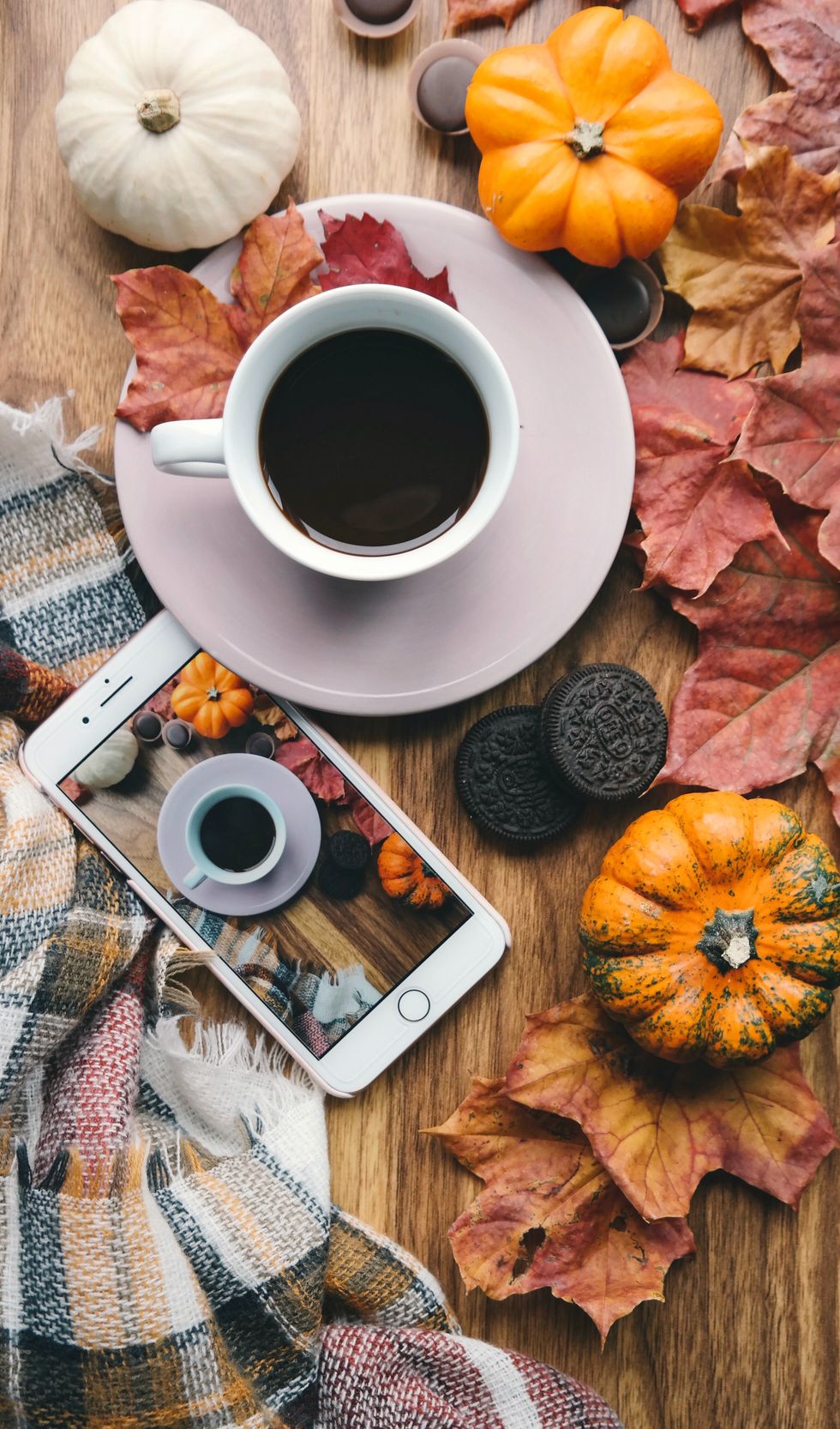 25 Reasons Why Fall Is The Best Season