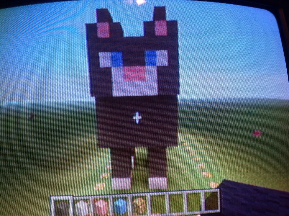 How to create a minecraft cat - B+C Guides