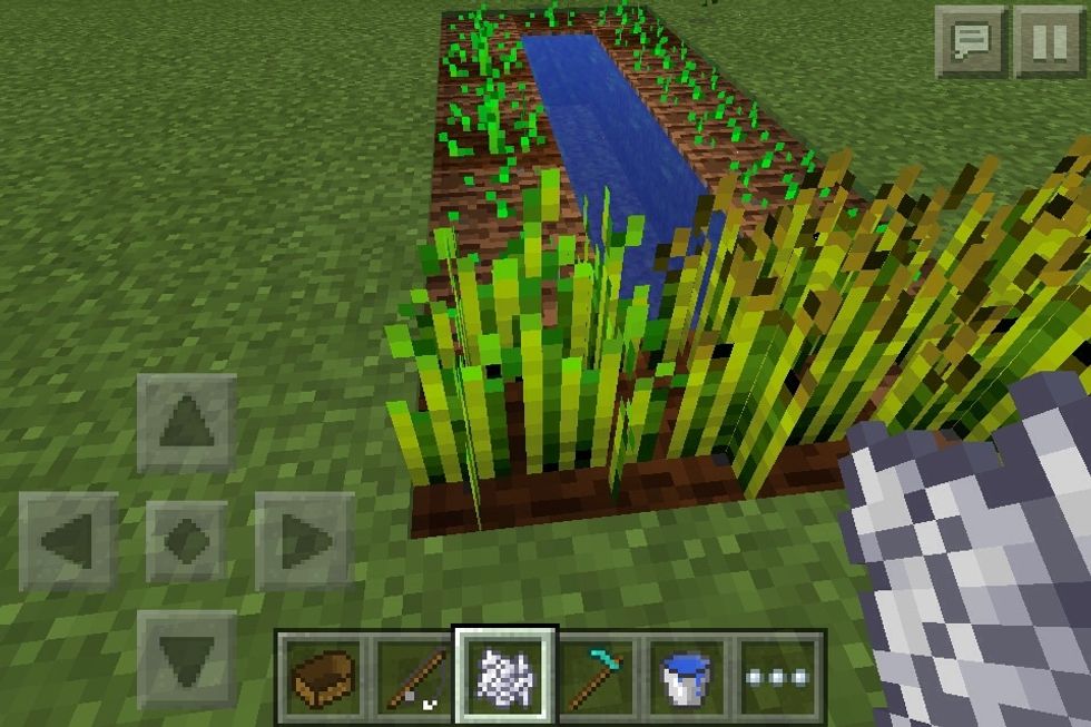 How to grow crops 100% faster in minecraft - B+C Guides