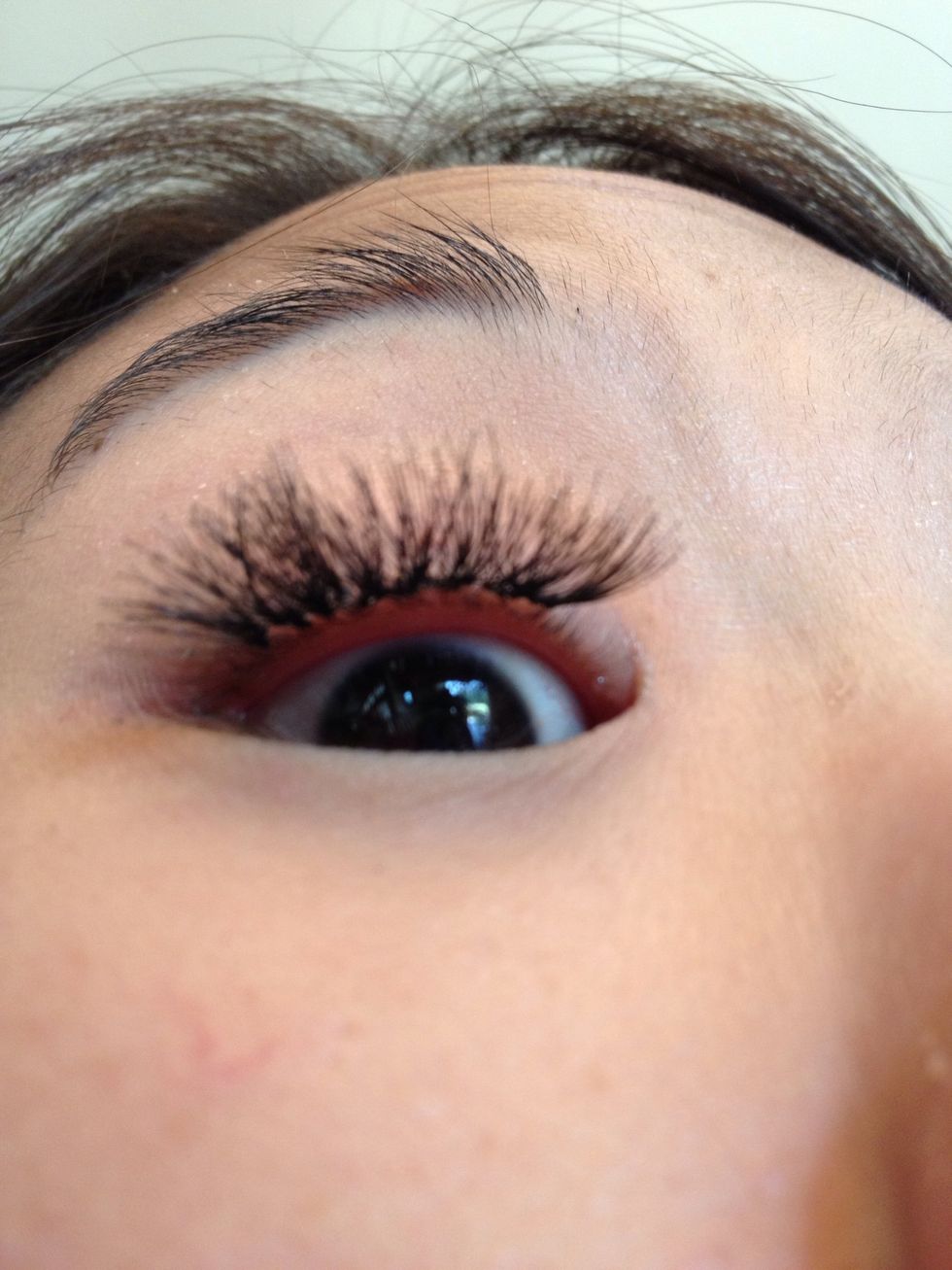 How to apply individual lashes that last - B+C Guides