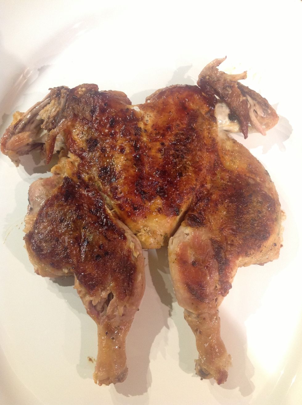 How to cook "road kill" chicken - B+C Guides