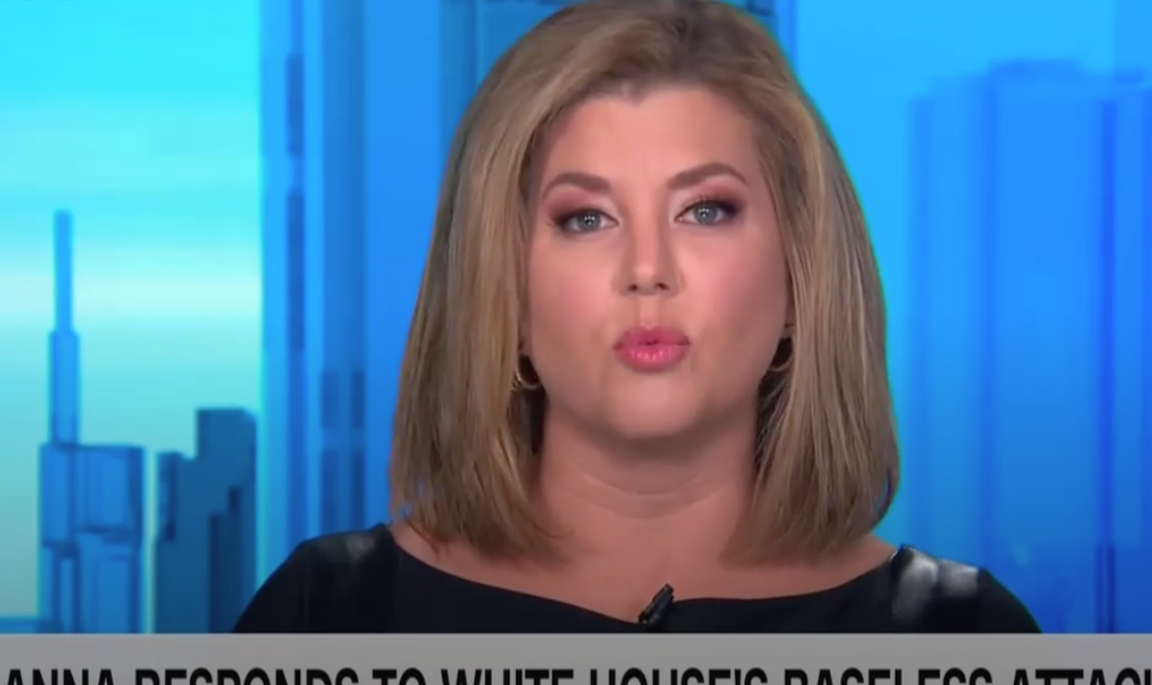 #EndorseThis: CNN Anchor Torches Kayleigh McEnany, Who 'Lies About ...