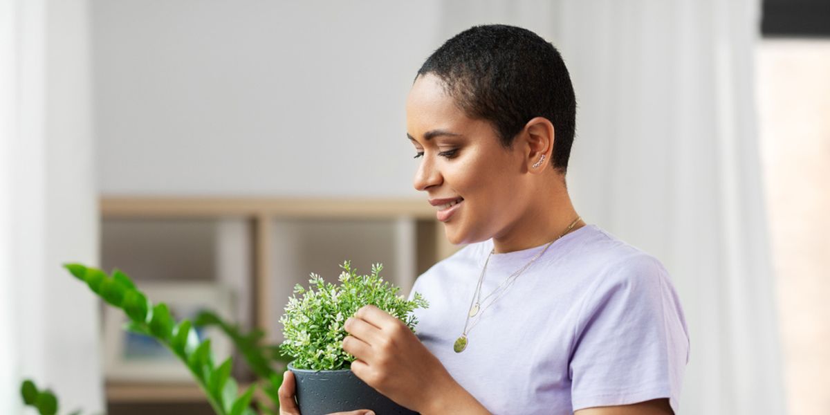 Here's What To Know About Using 'Blood Tea' For Plants - xoNecole