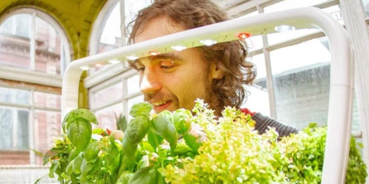Indoor "smart garden" lets you grow your own organic food using minimal ...