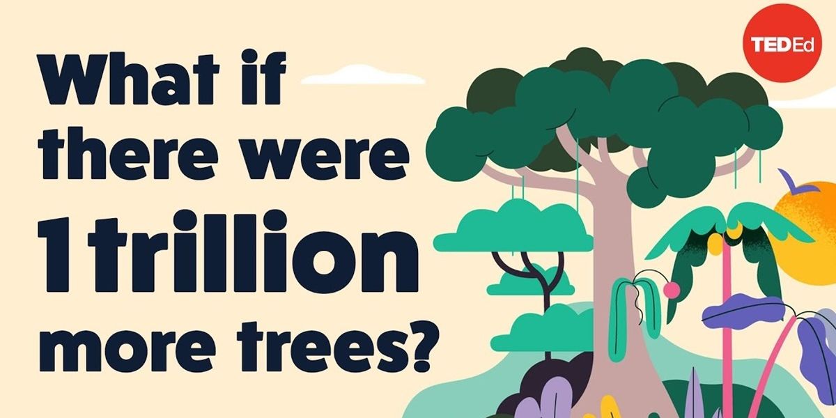 Captivating new TED video shows how planting a trillion trees would ...