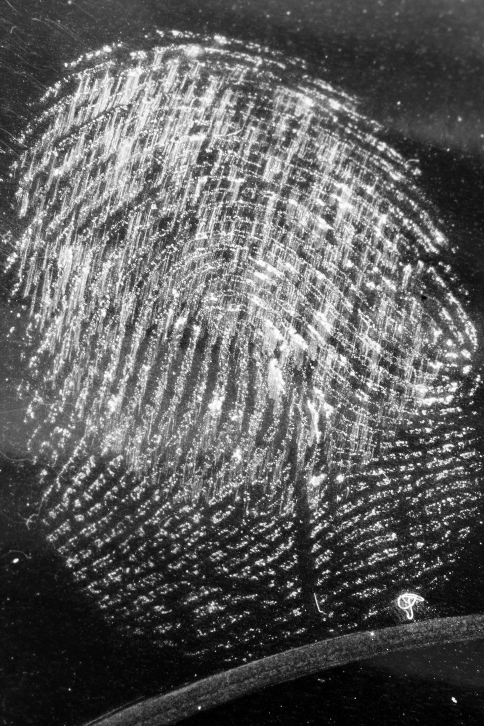 How to develop fingerprints with super glue - B+C Guides