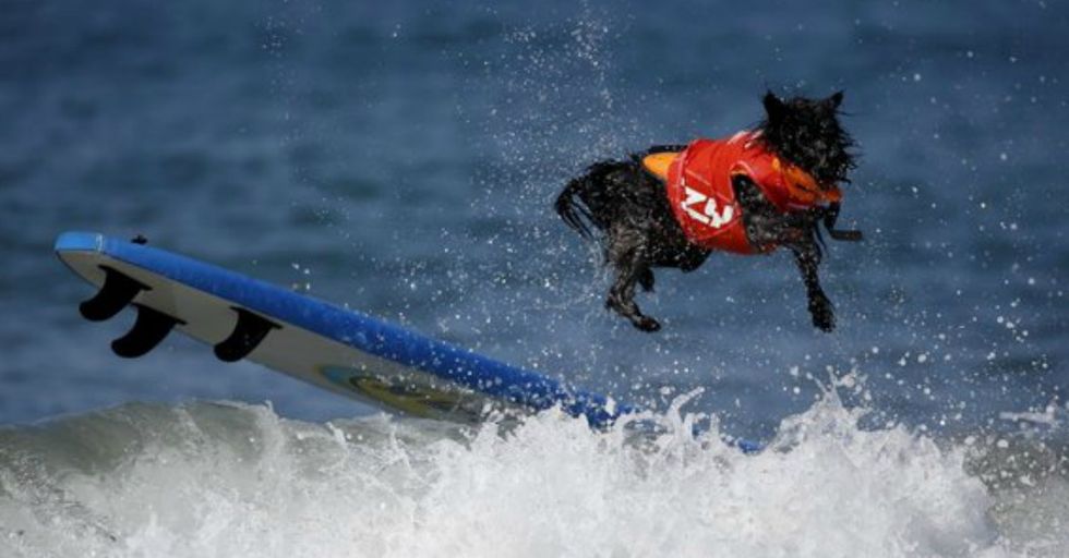 30 of the Weirdest Pictures On the Internet | 22 Words