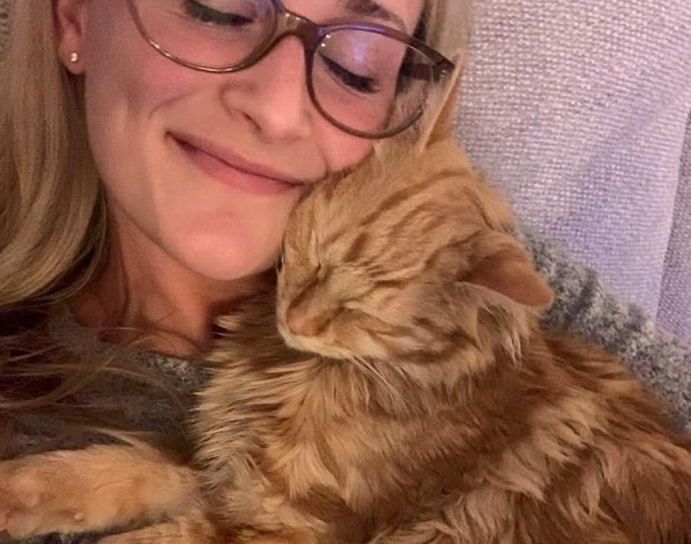 Kitten Wins the Hearts of Family that Brought Him Back to Life, and ...