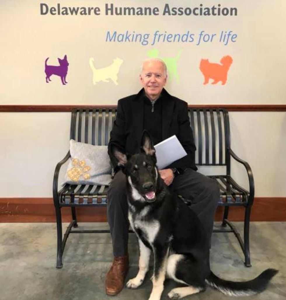President Biden poses with his 'First Dogs' in a legendary Oval Office ...