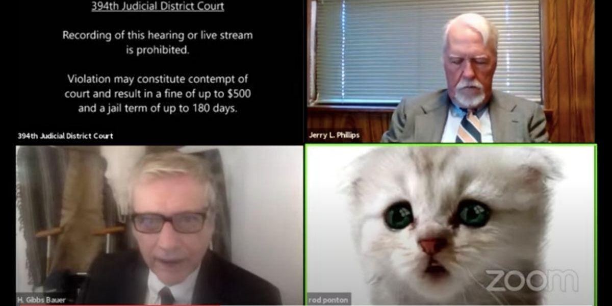 A Texas lawyer accidentally showed up to a court hearing with a Zoom ...