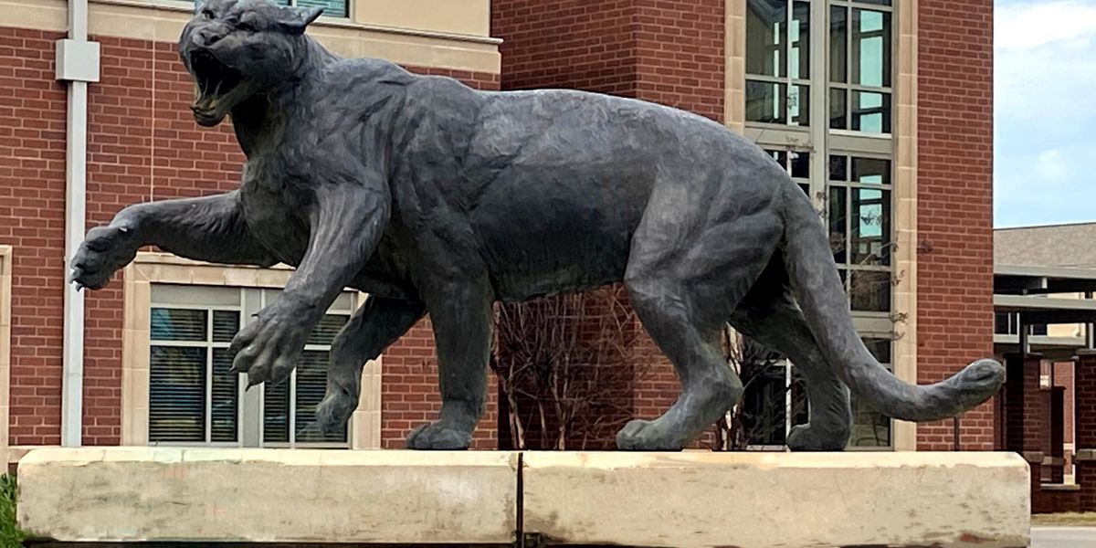 What is a Wampus cat, one of the South’s popular school mascots? - It's a Southern Thing