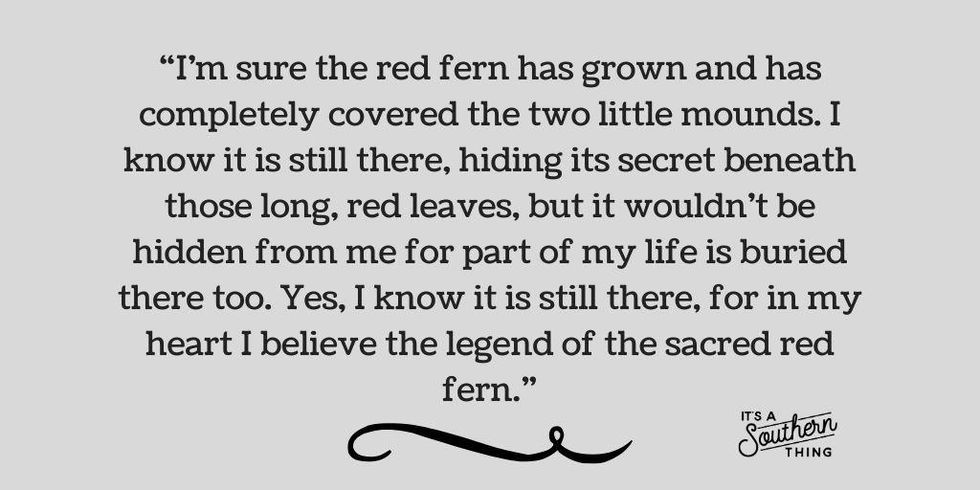 7 'Where the Red Fern Grows' quotes we love - It's a Southern Thing