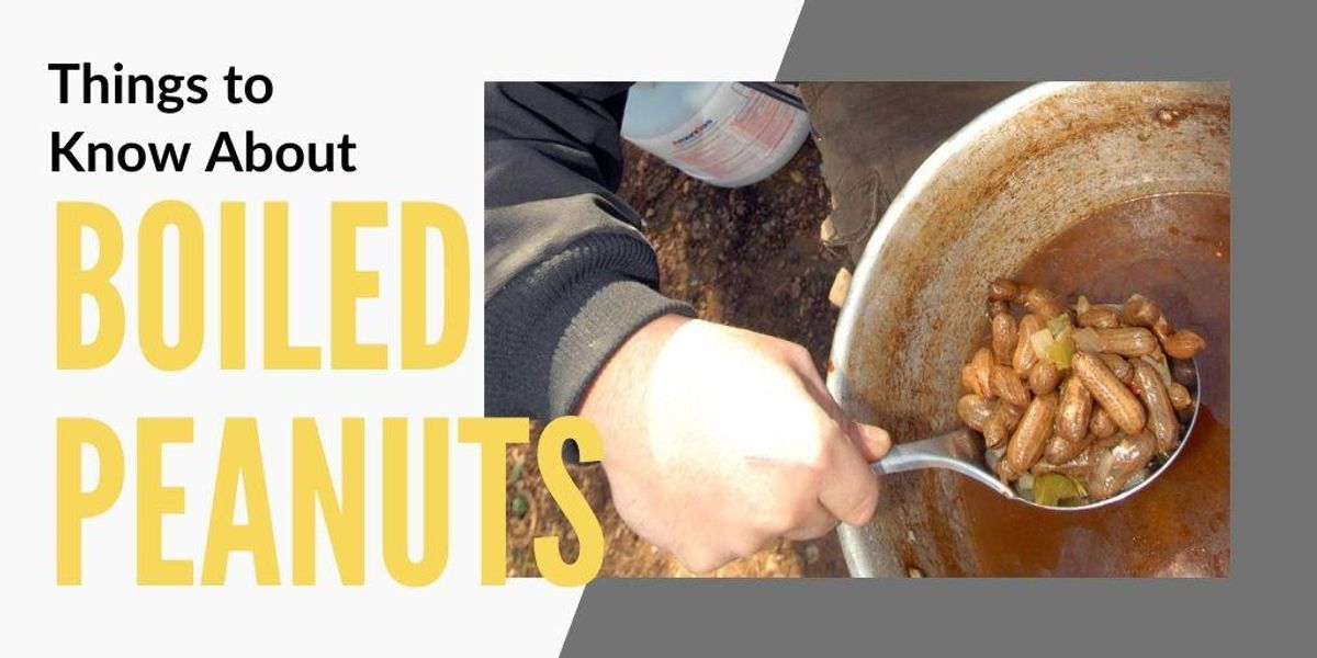 14 things to know about boiled peanuts, a Southern tradition - It's a ...