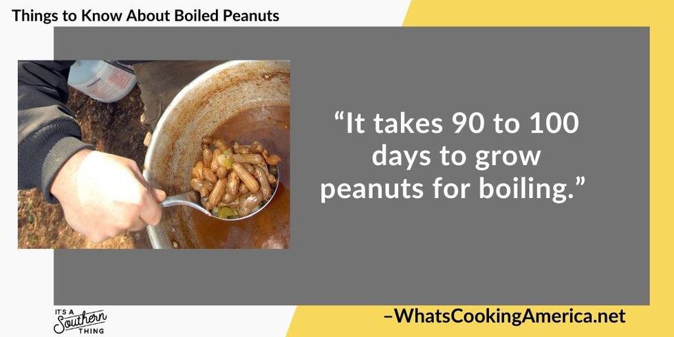 14 things to know about boiled peanuts, a Southern tradition - It's a ...
