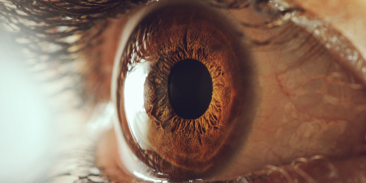 Staring Into Someones Eyes For 10 Minutes Can Radically Alter Your