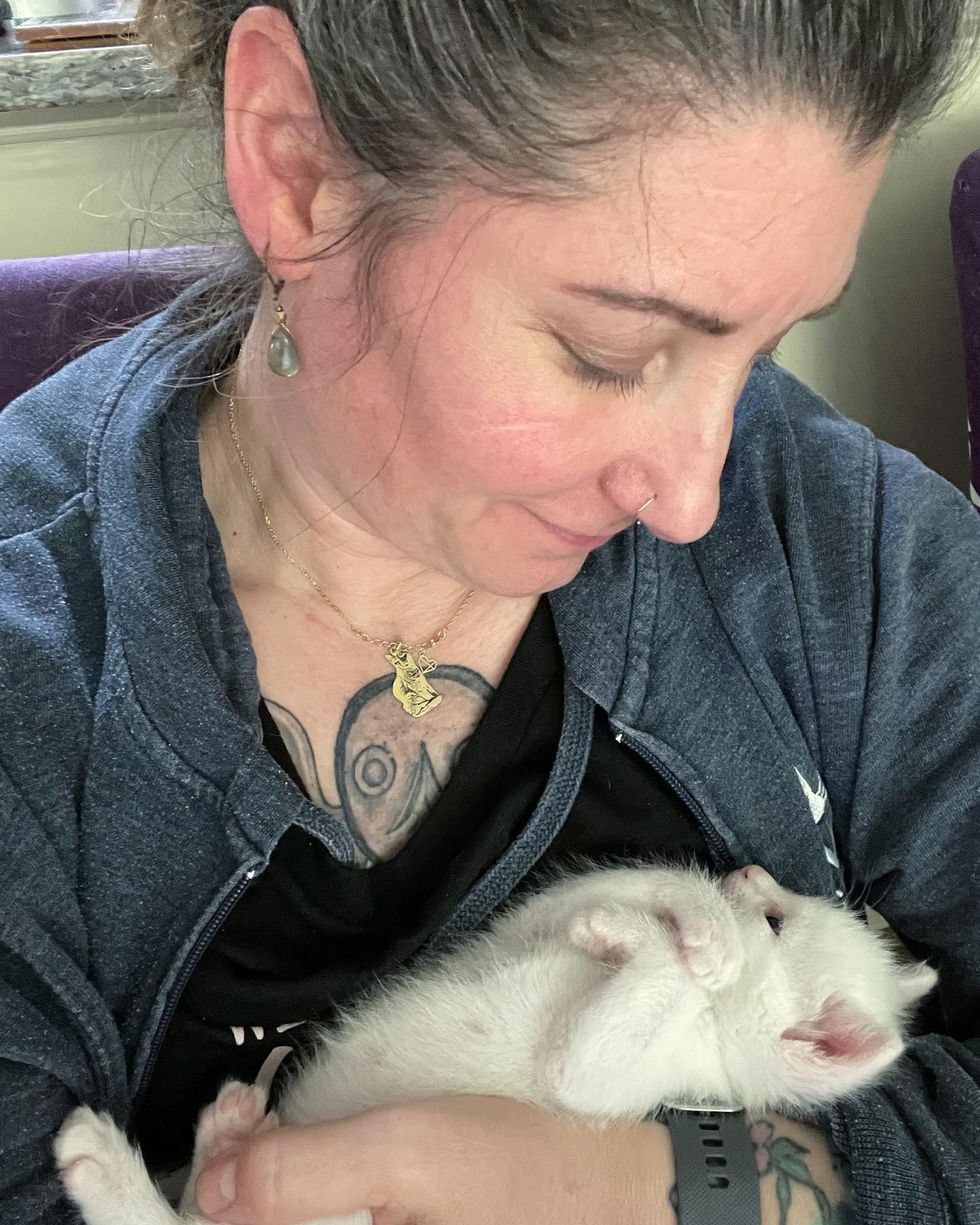 Kitten Reminiscent of Woman's Late Cat, Finds Her in a Serendipitous ...