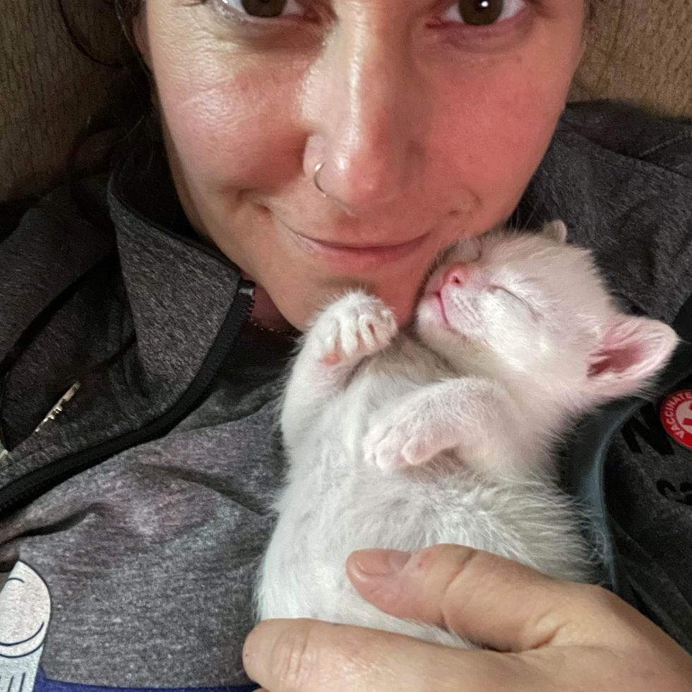 Kitten Reminiscent of Woman's Late Cat, Finds Her in a Serendipitous ...