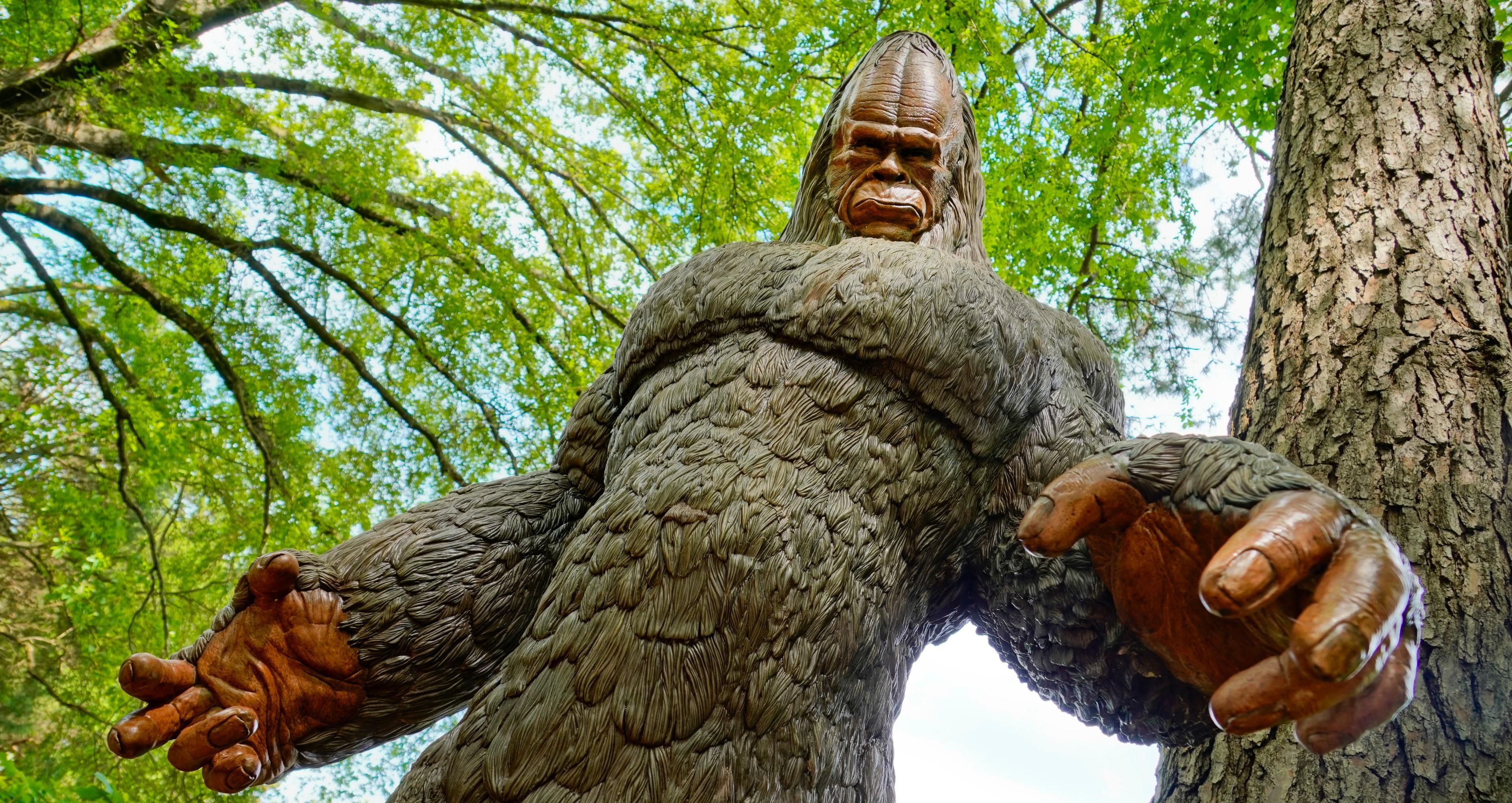 An Oklahoma legislator is offering a $3 million bounty for Bigfoot and ...