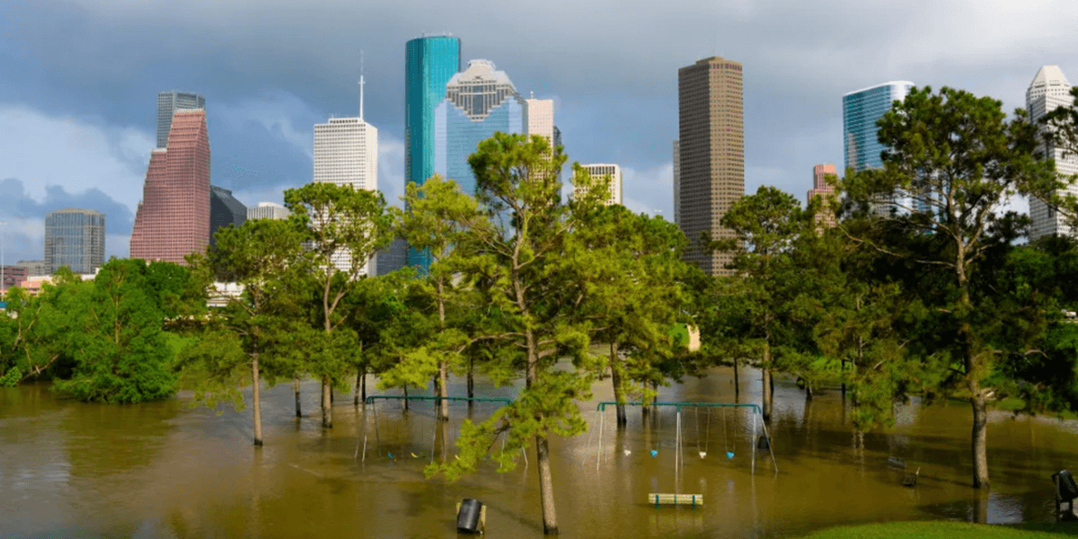 Advancing innovation in disaster relief will need local and federal ...