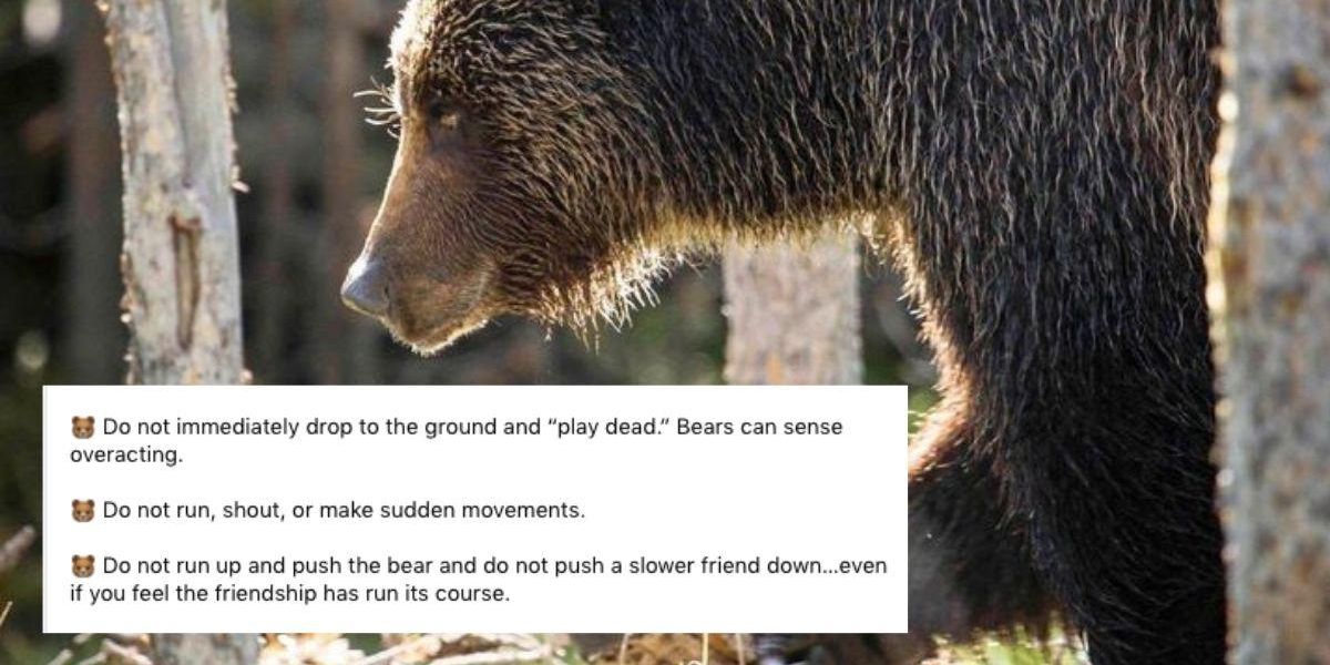 National Park Service shares hilarious bear safety advice - Upworthy