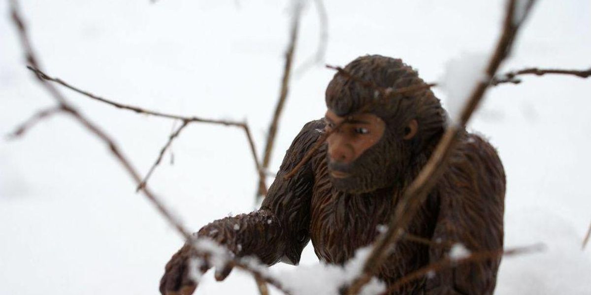 Smoky Mountain Bigfoot Conference set for July - It's a Southern Thing