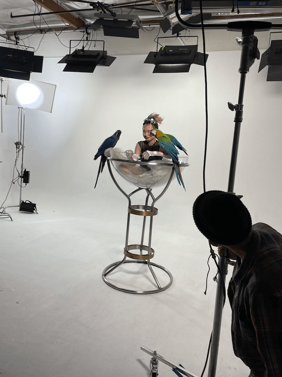 Alice Longyu Gao Premieres "Kanpai" Video - PAPER Magazine