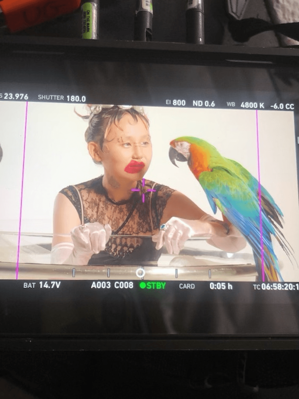 Alice Longyu Gao Premieres "Kanpai" Video - PAPER Magazine