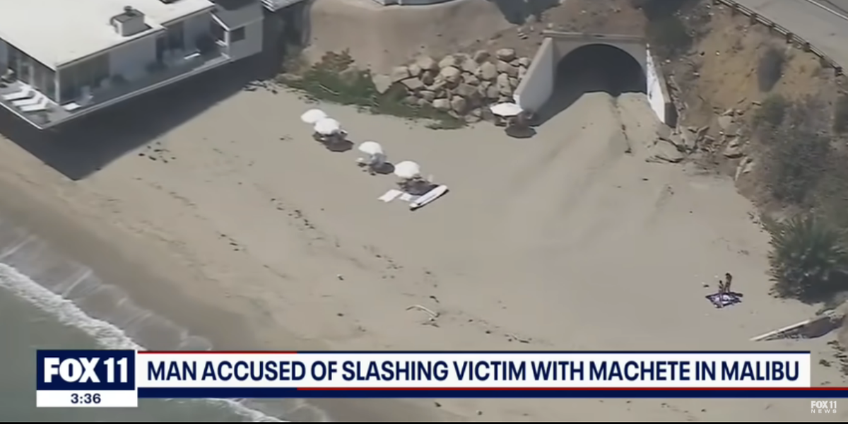 Malibu homeless man reportedly attacks family of 5 with machete, causes ...