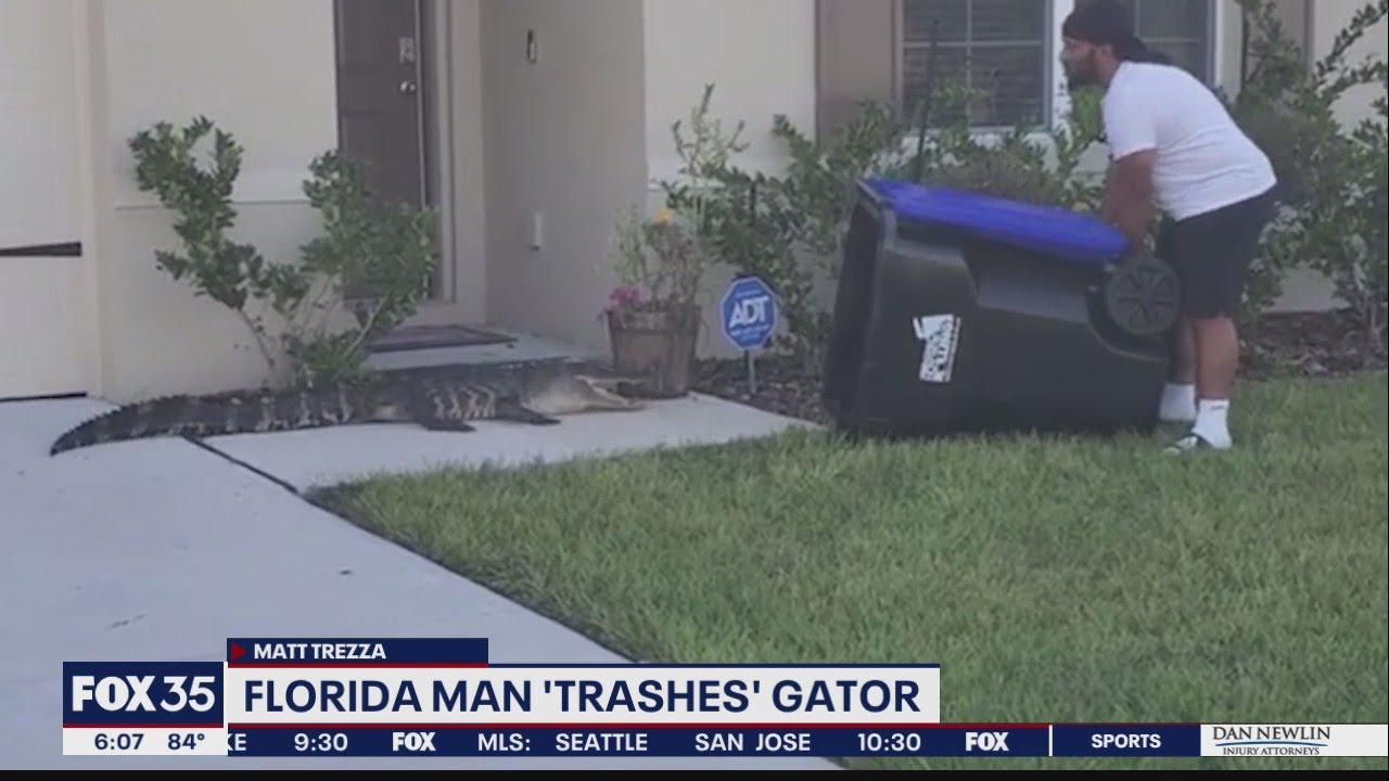 Florida man safely catches, rehomes gator using a recycling bin and we ...
