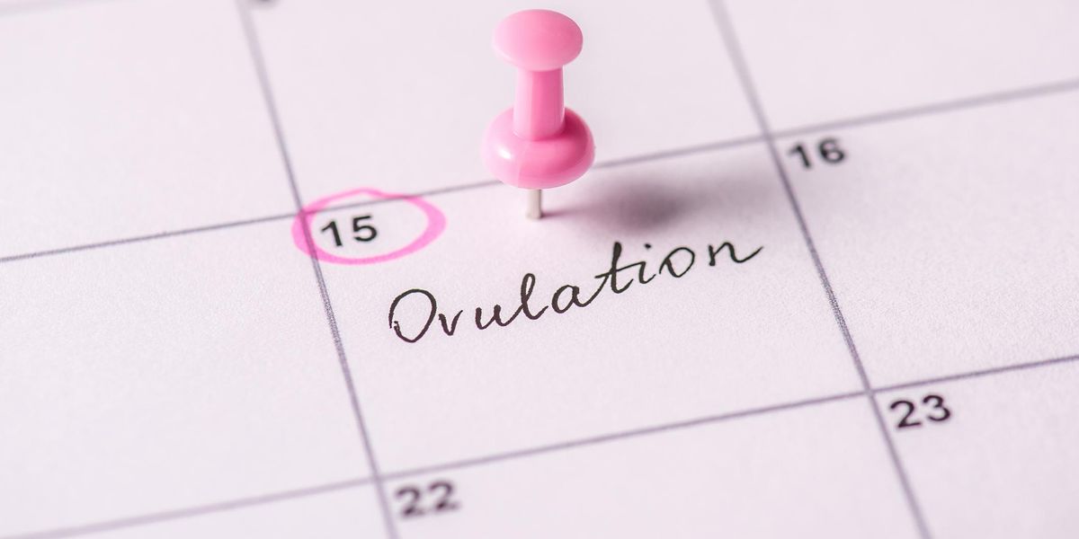 Interesting Facts About Ovulation That Might Surprise You - xoNecole ...