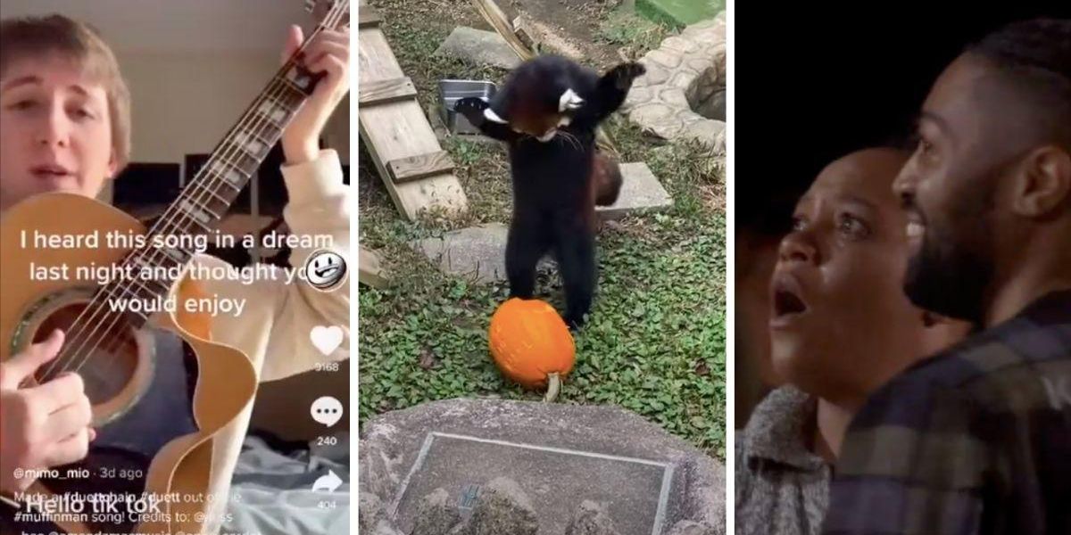 10 delightful finds from around the internet this week, 2021-11-19 ...