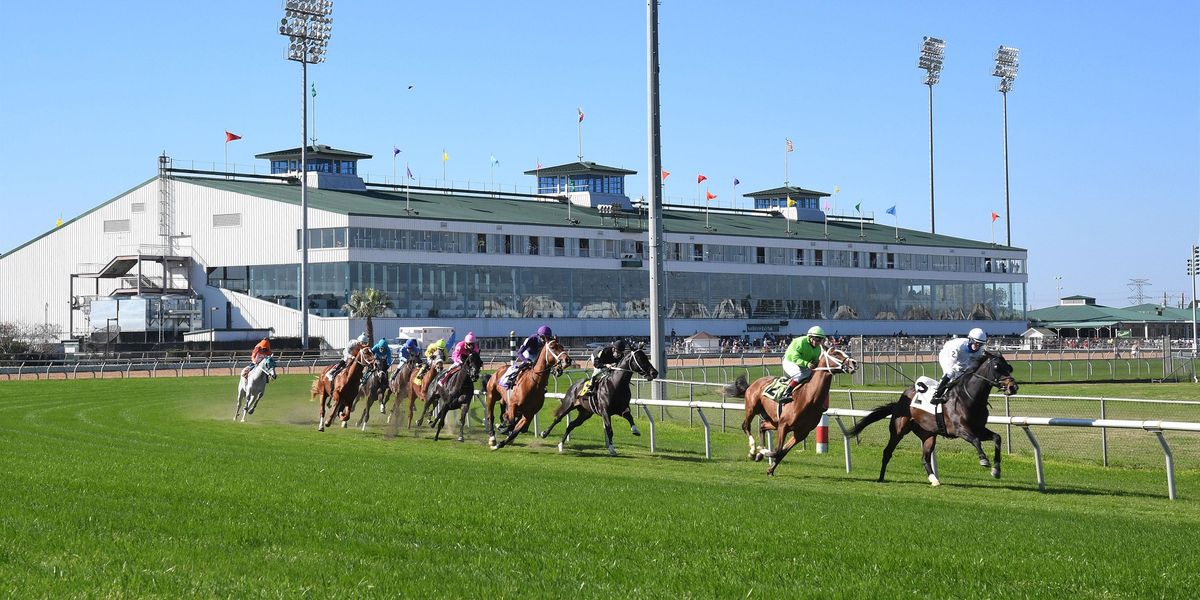 Ever thought about owning and racing your own Texas Thoroughbred? Now's ...