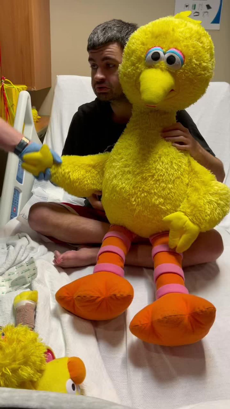 Nurse treats patient's Big Bird stuffy, illustrating how nurses really ...