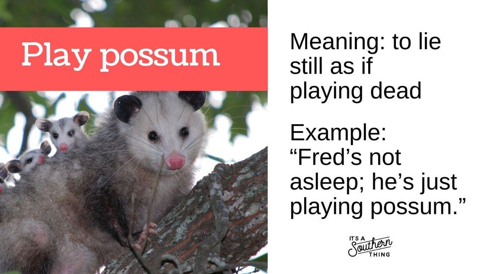 Origins of 15 (more) Southern words and phrases - It's a Southern Thing