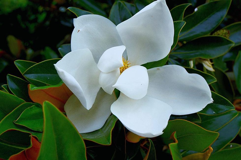 32 of the worst food combinations people actually eat - It's a Southern ...