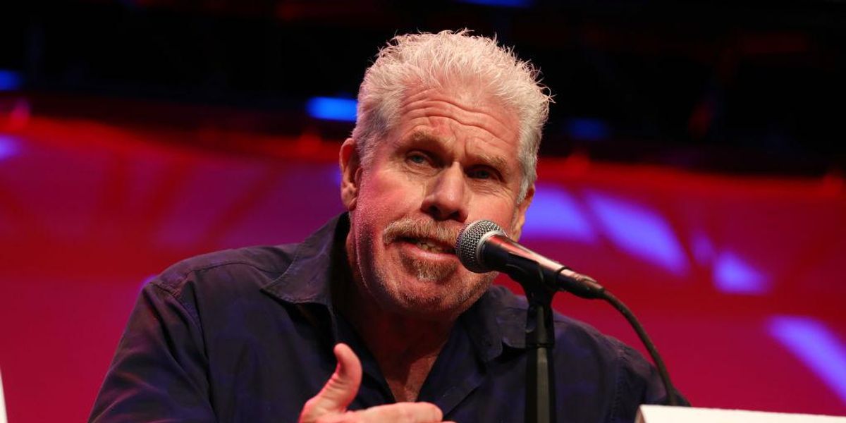 'Hellboy' actor Ron Perlman says it's time for blue states to 'separate ...