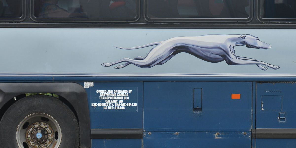 Naked man arrested after opening fire inside a Greyhound bus ...
