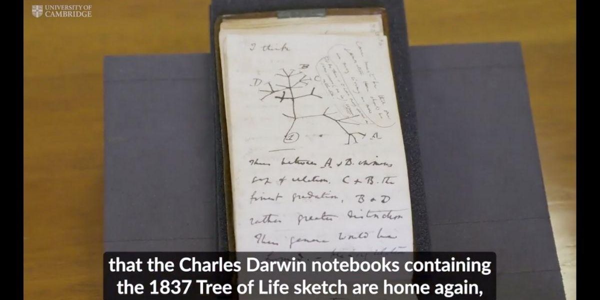 Two of Charles Darwin's notebooks show up in a pink bag after being ...