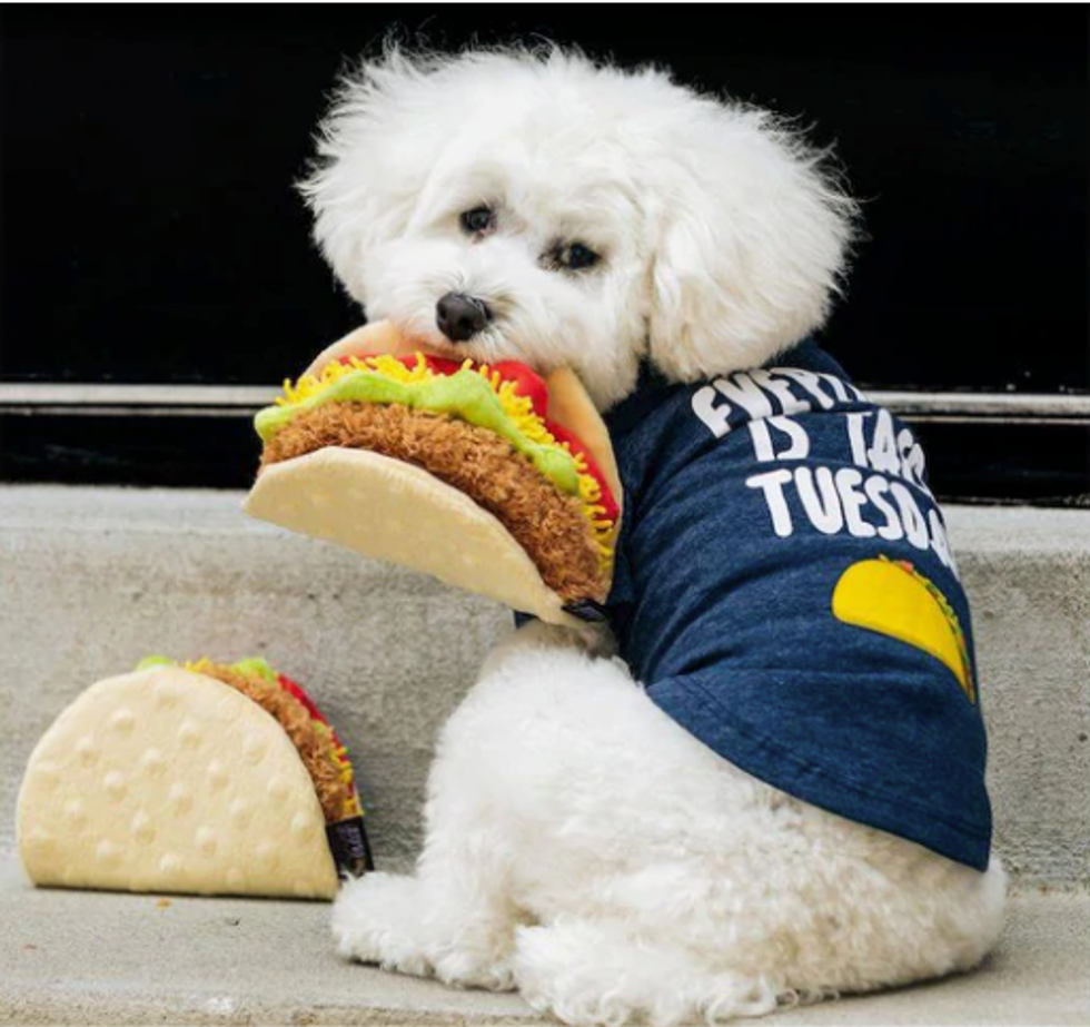 10 super cute dog toys to make your pup happy - Upworthy