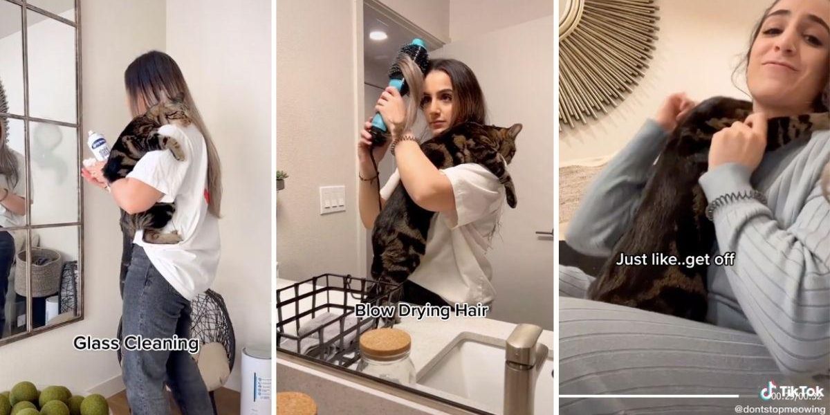 Couple with the clingiest cat on Earth show off their pet's antics ...