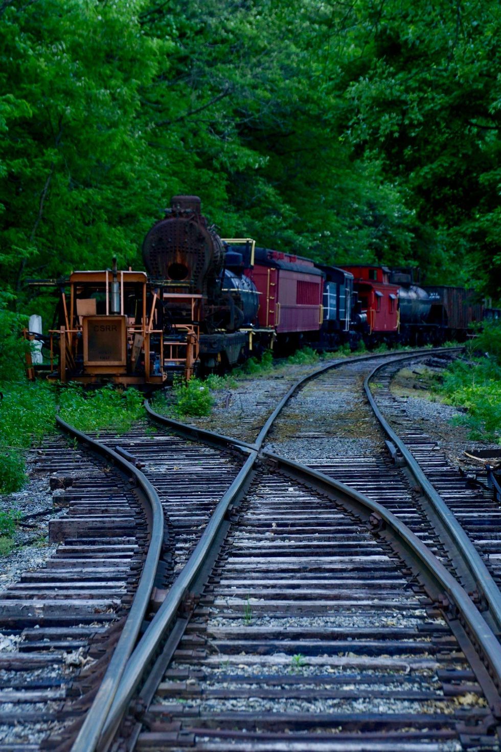 13 Southern train rides you need to take if you really, really love ...