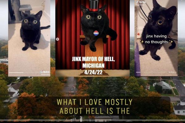 Youre Upsetting Jinxy Cat