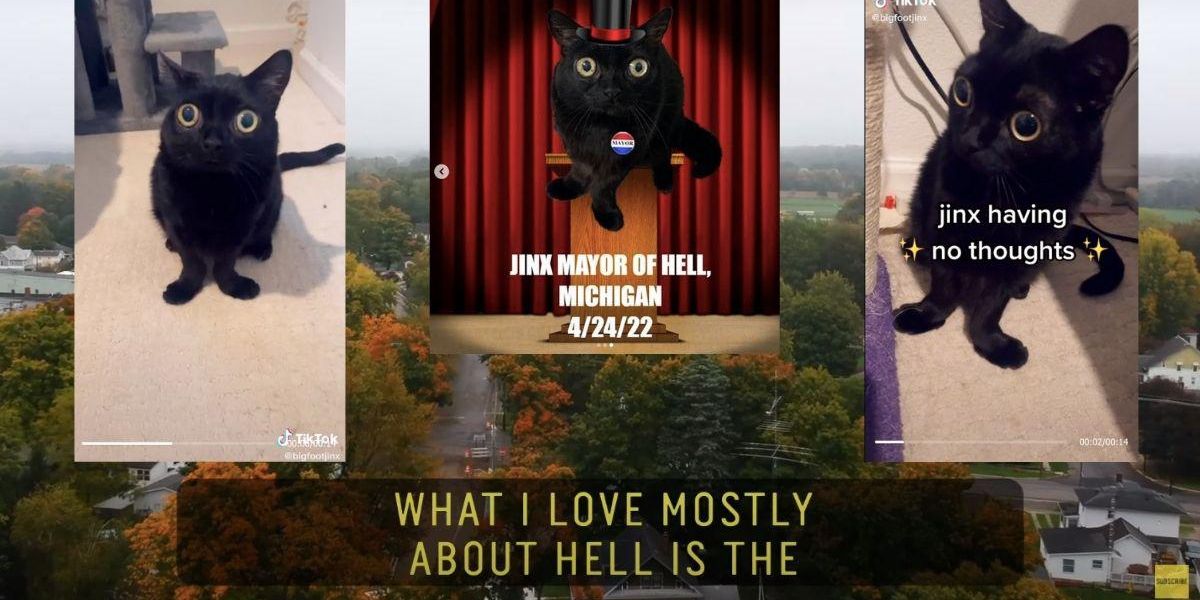 Jinx the cat became the mayor of Hell - Upworthy
