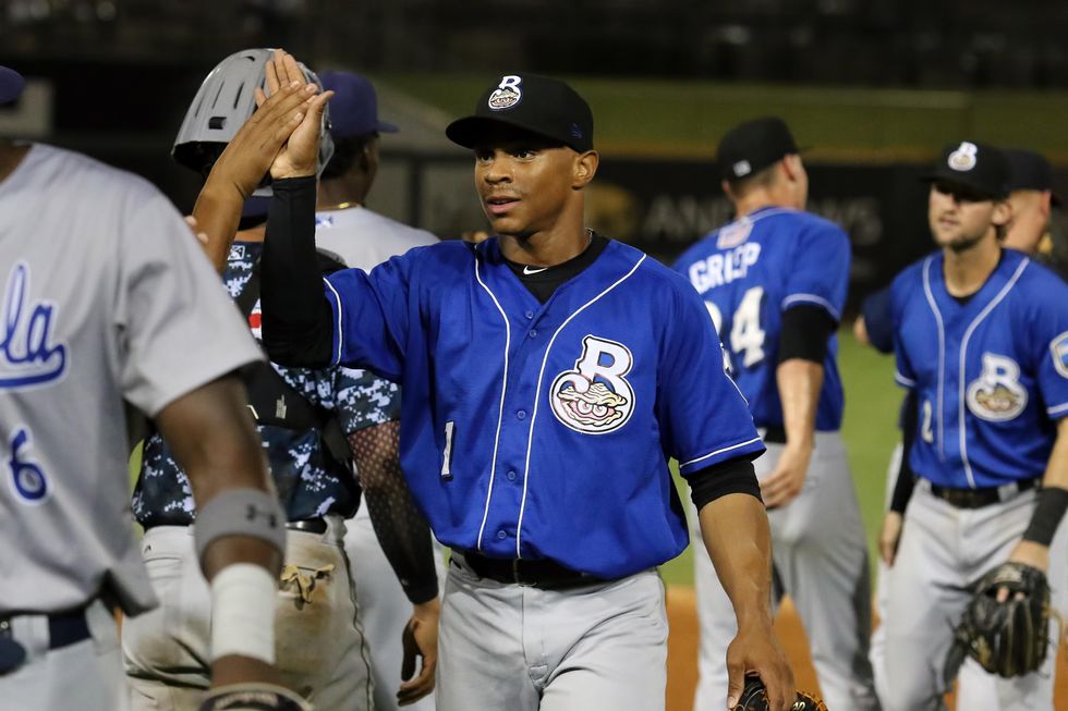 9 Baseball Team Names That Are Southern As All Get out It s A 9-baseball-team-names-that-are-southern-as-all-get-out-it-s-a